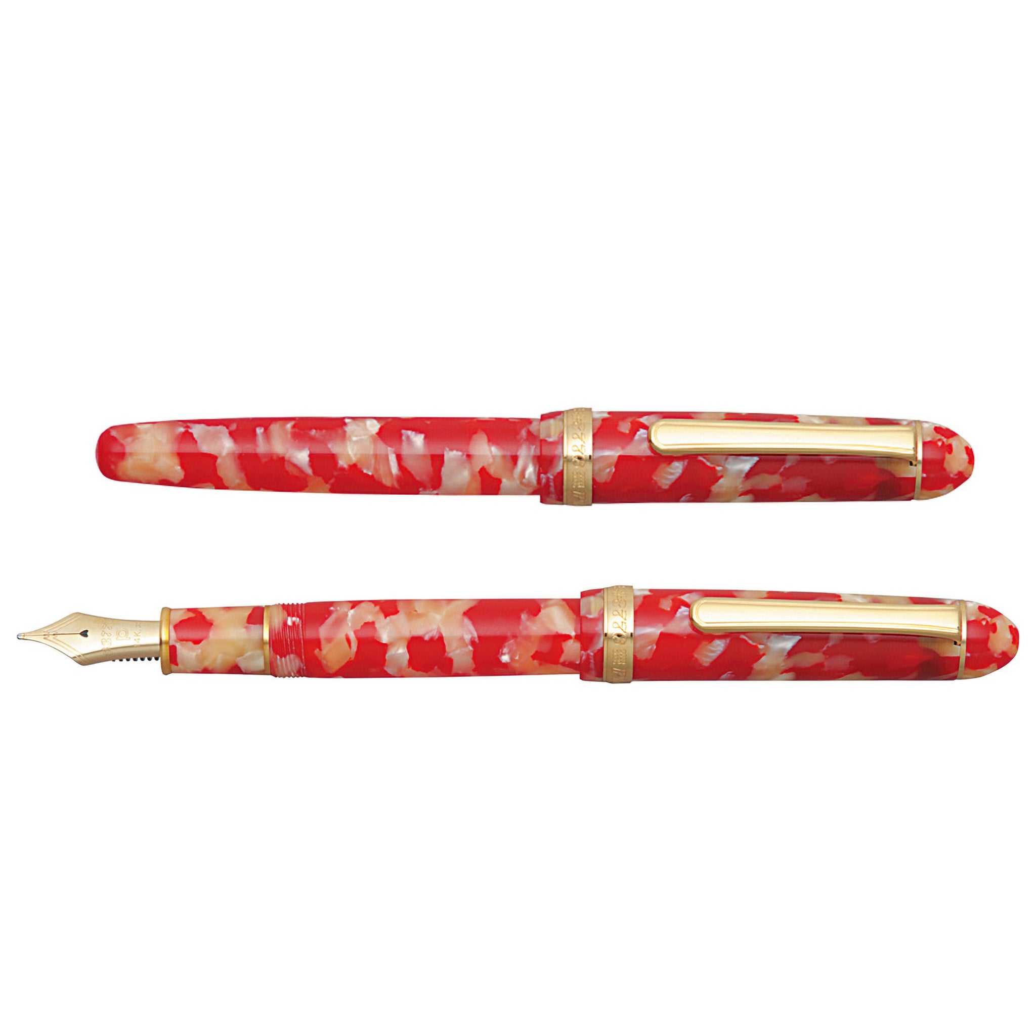 Platinum #3776 Century Celluloid Koi vulpen – P.W. Akkerman Den Haag